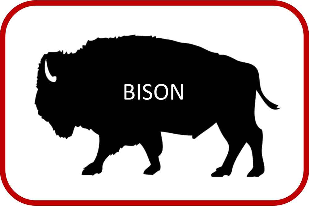 The Best Bison Meat in Maryland: Bowtie Bison Farms offers primarily ...