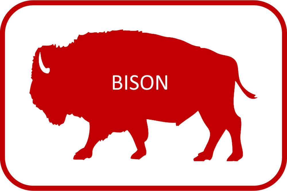 bowtie-bison-farm-ranch